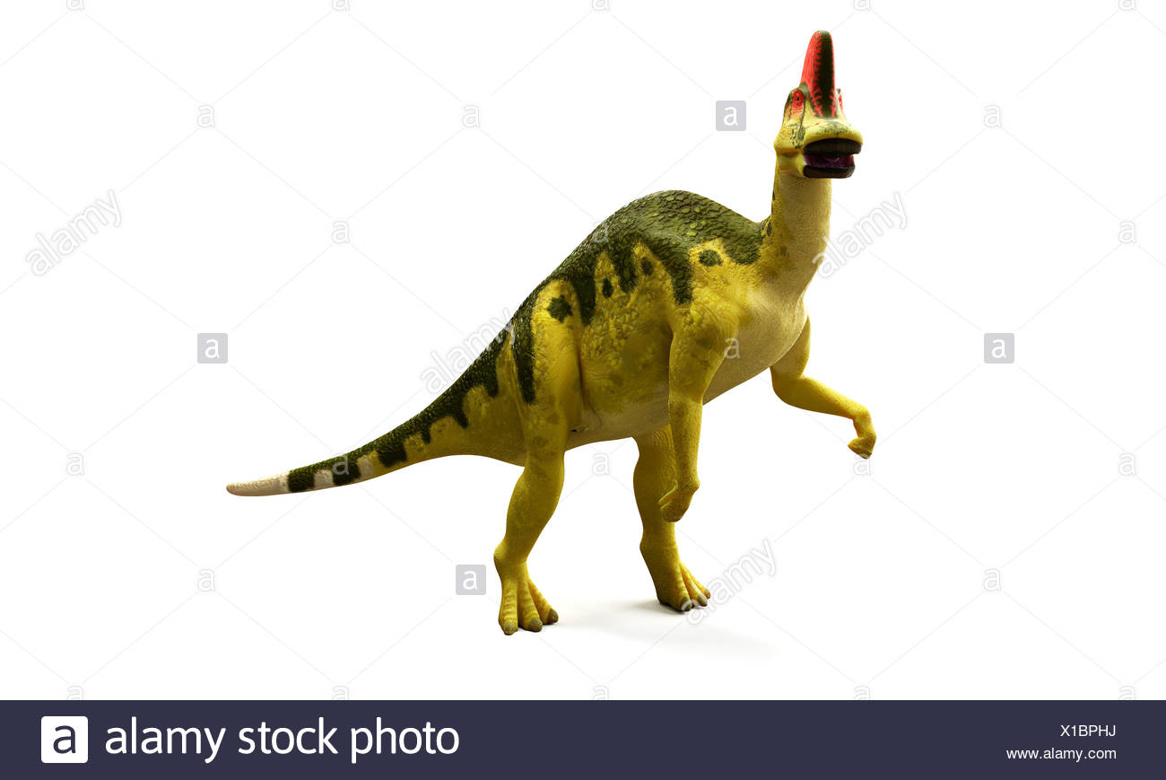 Hadrosaurus Stock Photos & Hadrosaurus Stock Images - Alamy