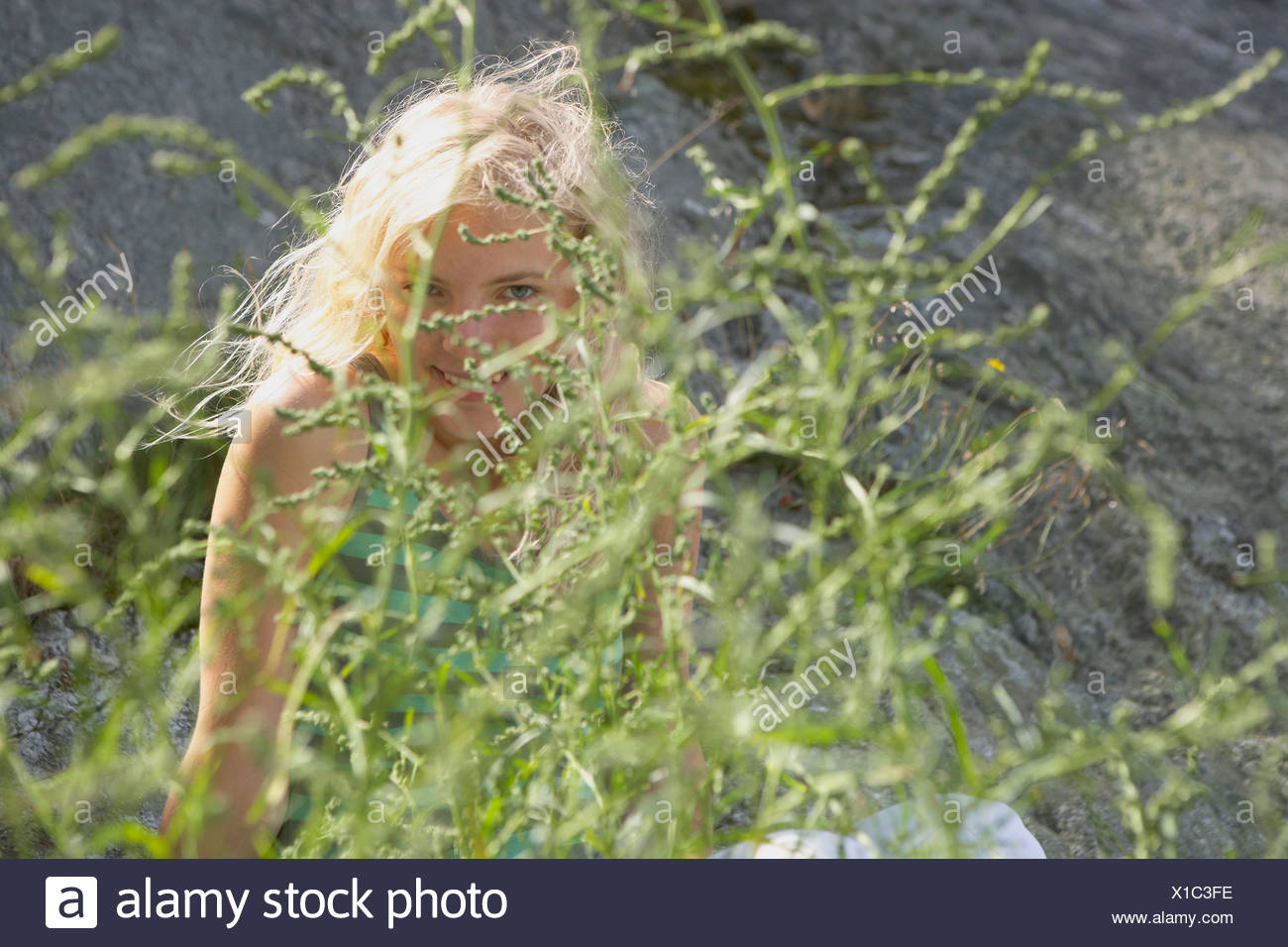 Hiding Behind Bush High Resolution Stock Photography and Images - Alamy