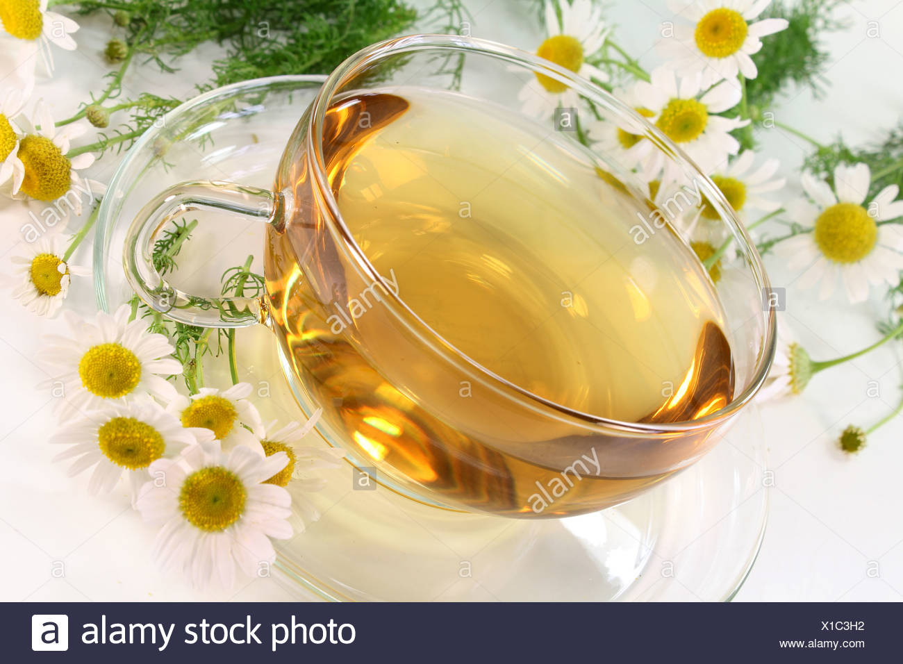 Chamomile Tea High Resolution Stock Photography and Images - Alamy