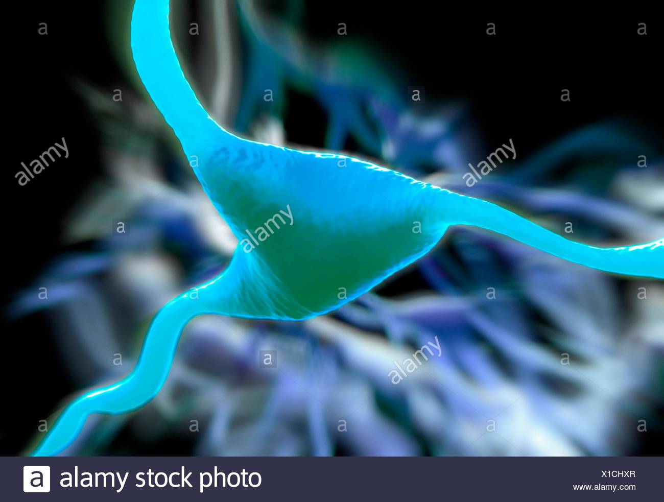 Cortex Neuron High Resolution Stock Photography and Images - Alamy