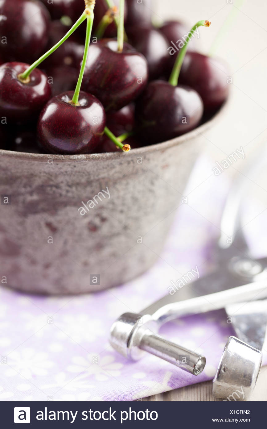 English Cherry Stock Photos & English Cherry Stock Images - Alamy