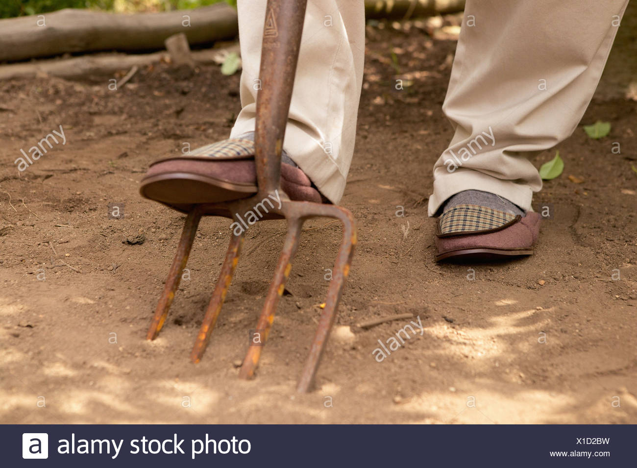 Old Man Digging Ground High Resolution Stock Photography and Images - Alamy