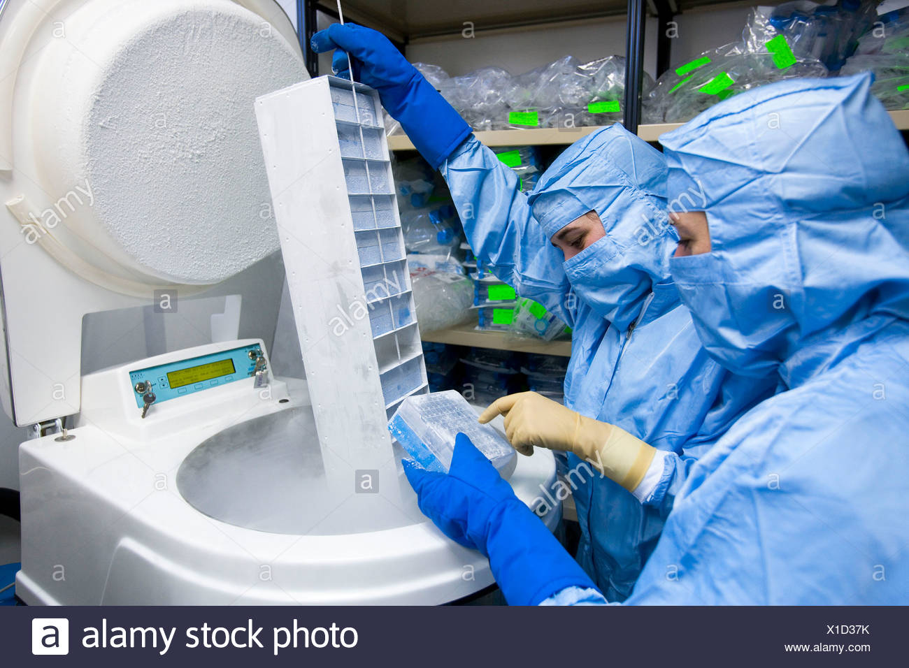 Cryogenics And Nitrogen High Resolution Stock Photography and Images ...