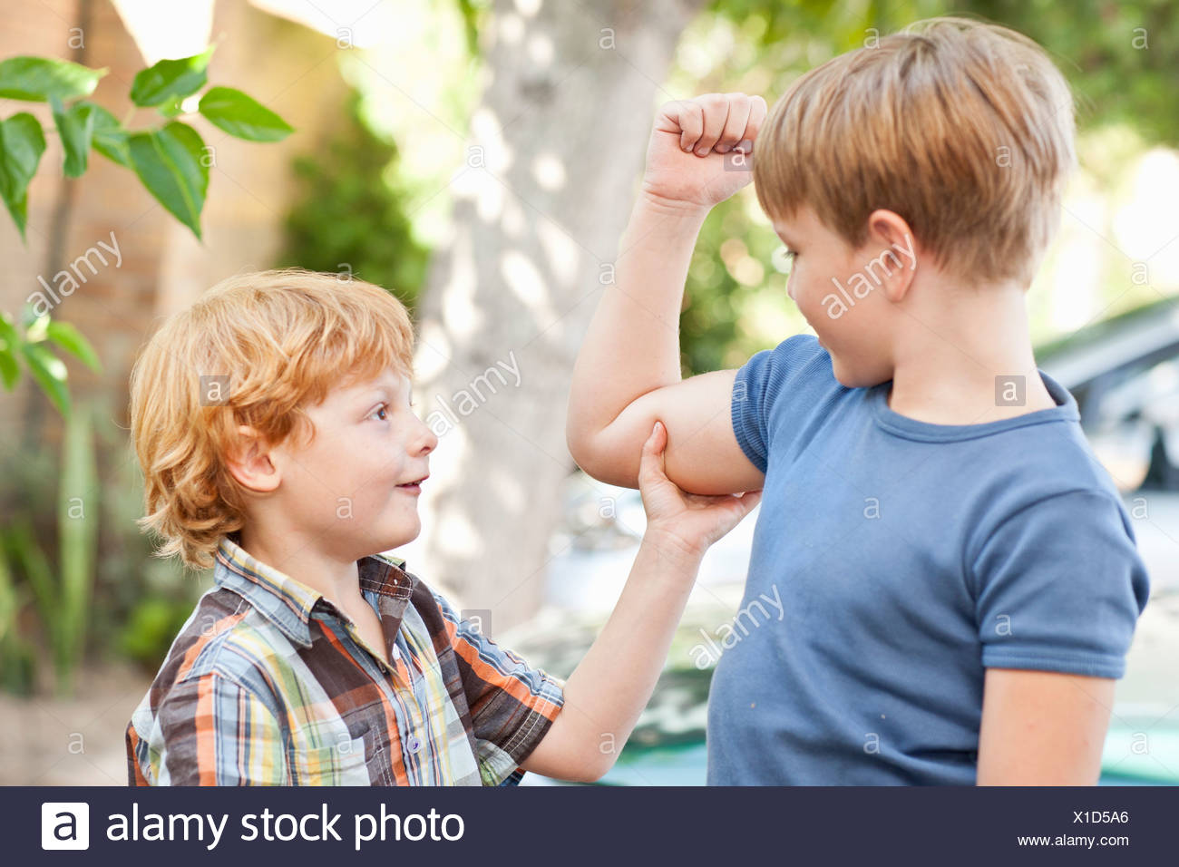 Human Biceps High Resolution Stock Photography and Images - Alamy