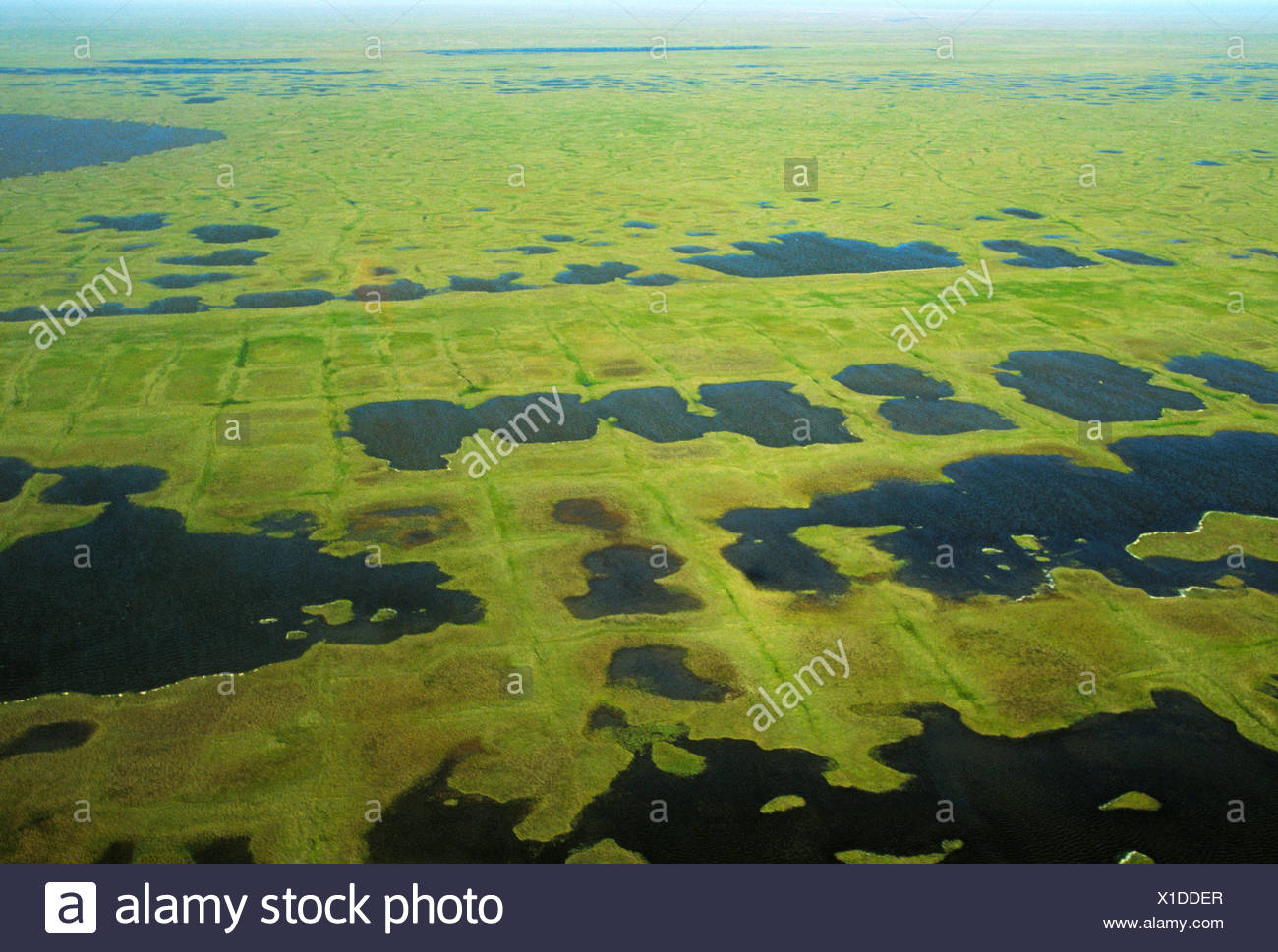 Aerial View Of Tundra High Resolution Stock Photography and Images - Alamy