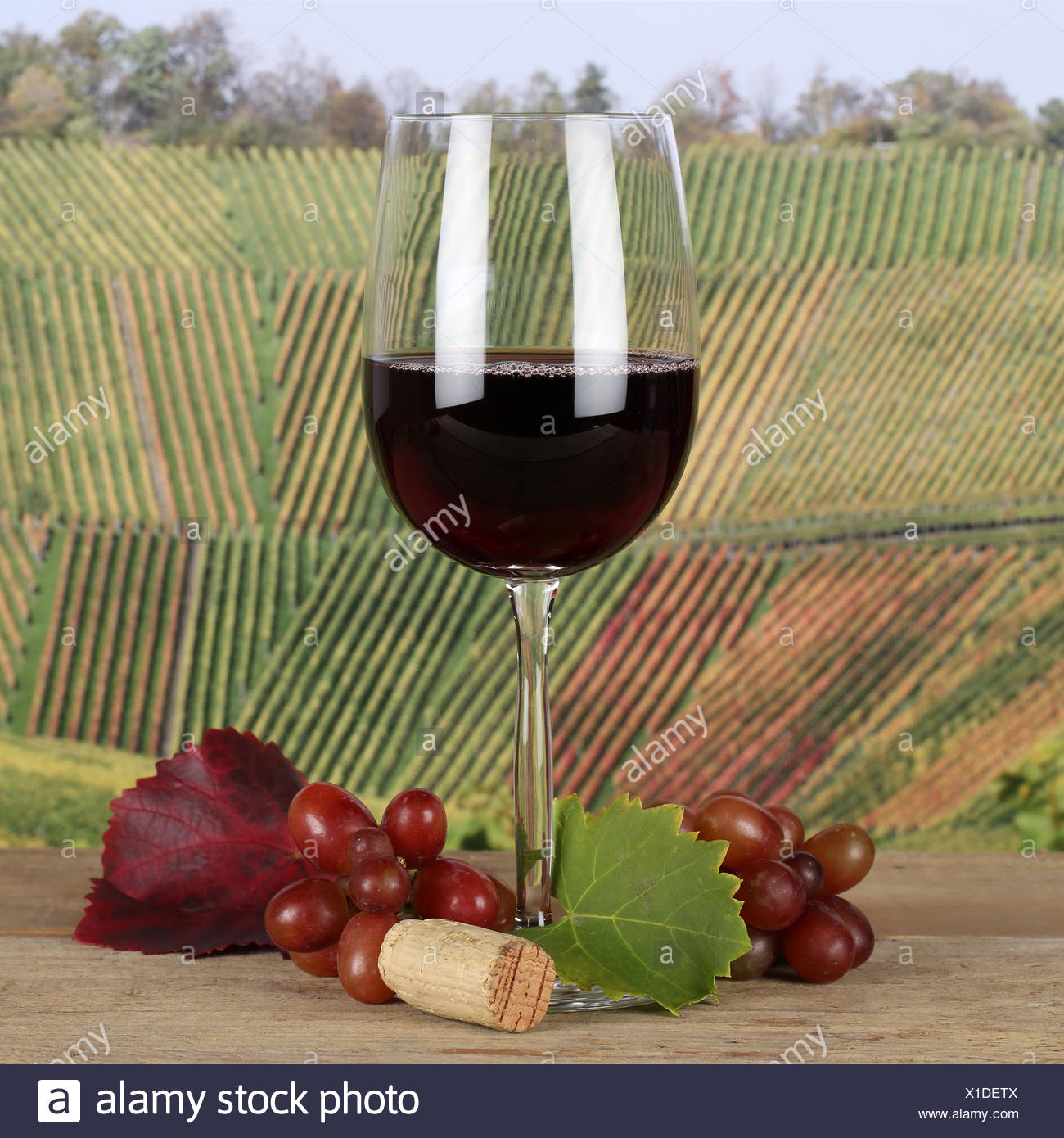 Rotwein Herbst High Resolution Stock Photography and Images - Alamy