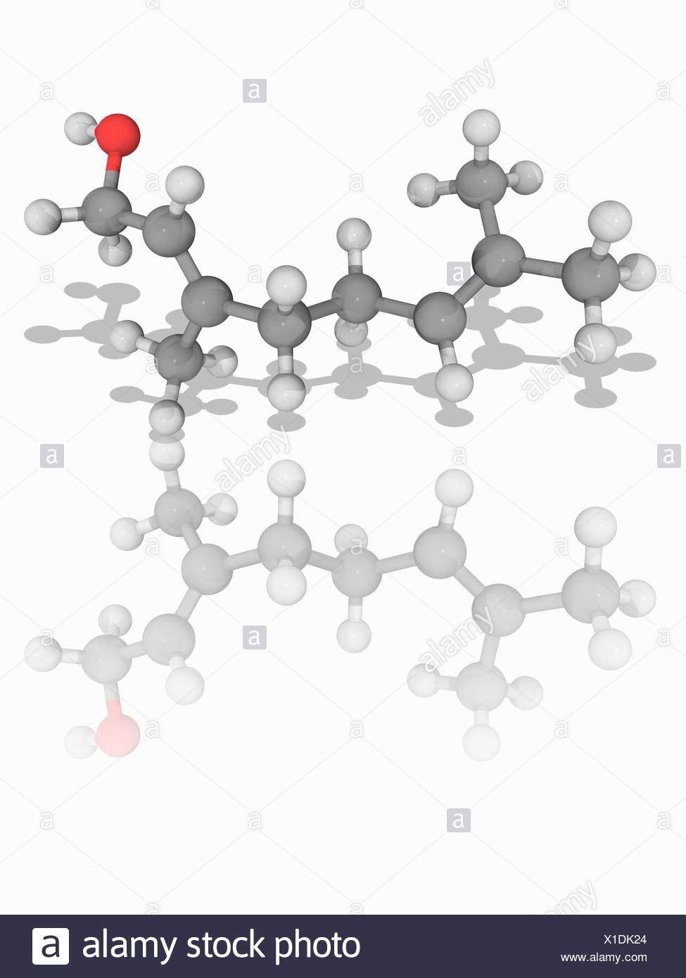 Geraniol High Resolution Stock Photography and Images - Alamy