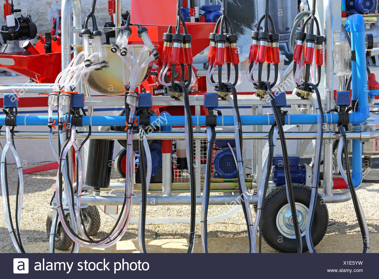 Automated Milking Machine High Resolution Stock Photography and Images ...