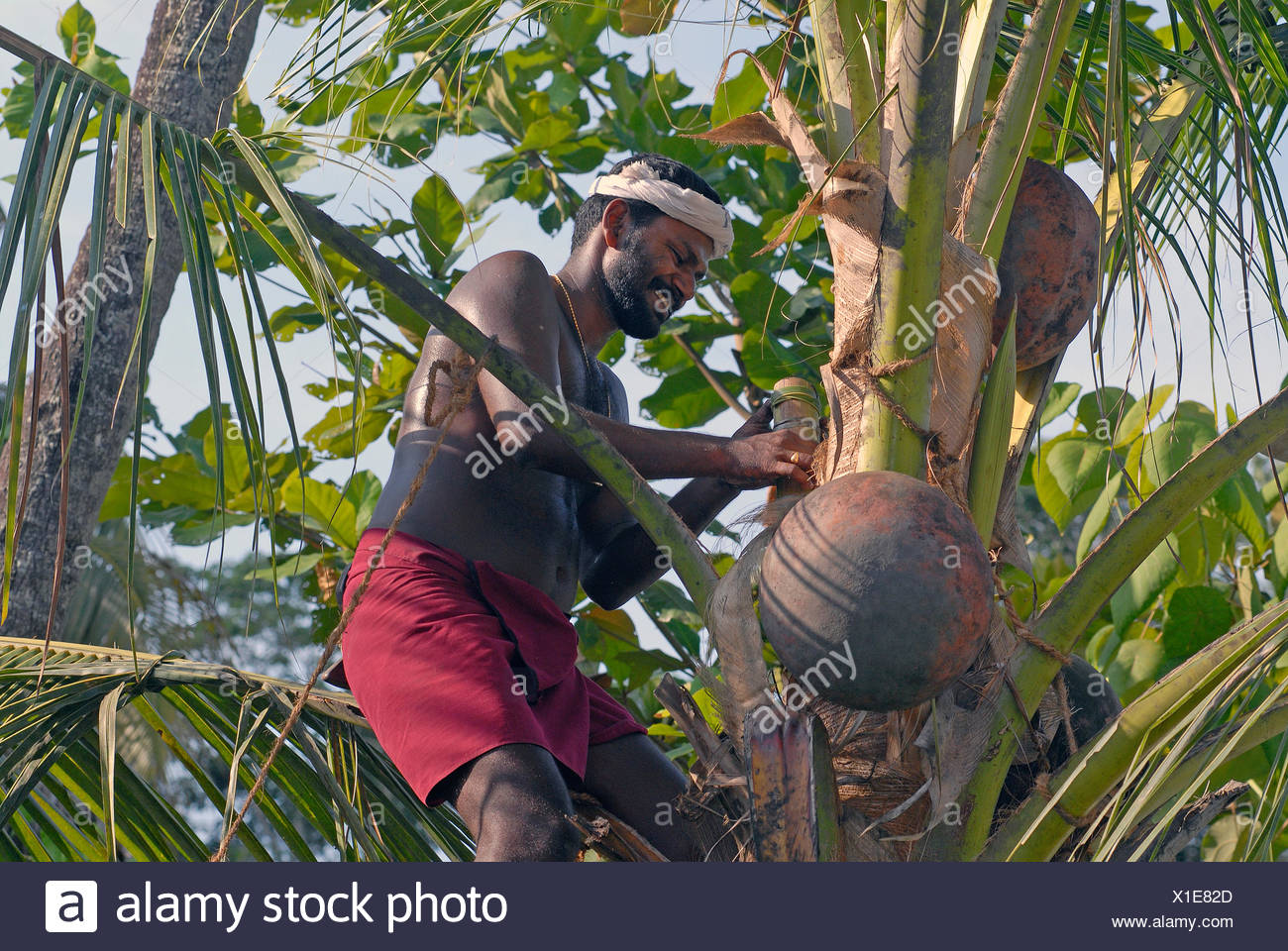 Wine India Stock Photos & Wine India Stock Images - Alamy