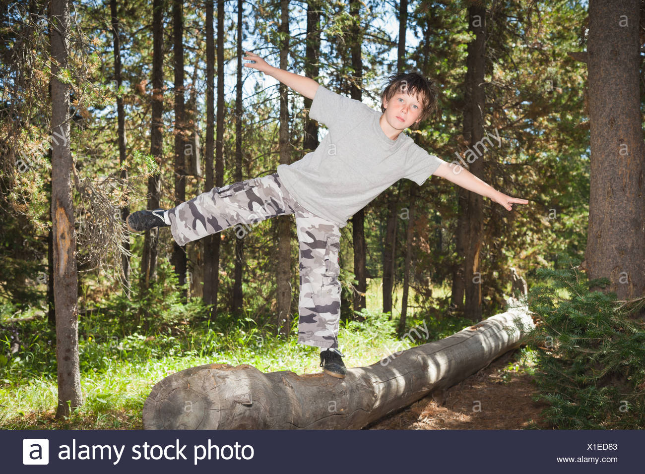 Log Crossing High Resolution Stock Photography and Images - Alamy