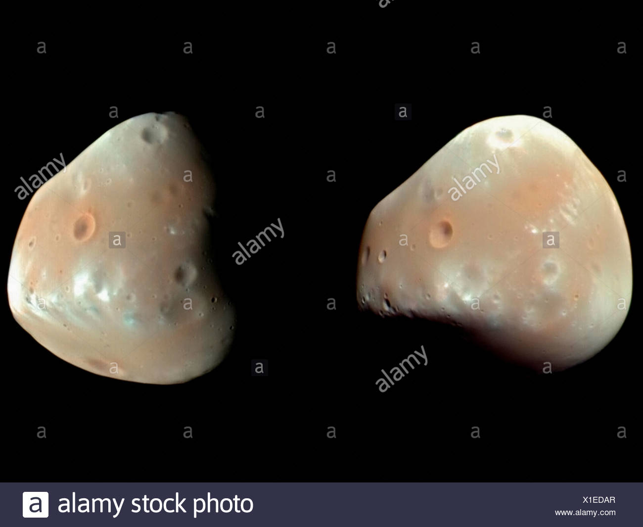 Deimos High Resolution Stock Photography and Images - Alamy