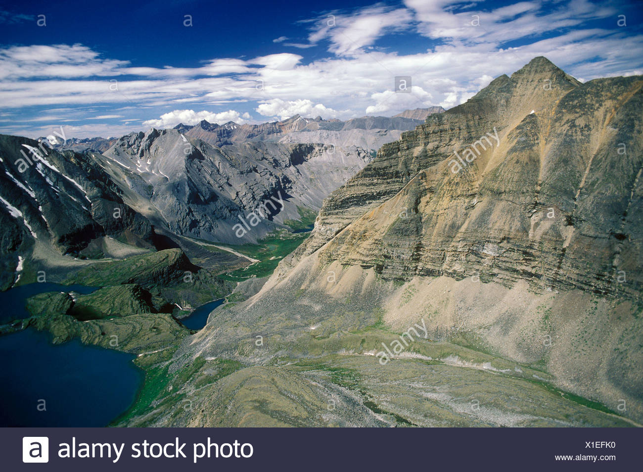 Muskwa Stock Photos & Muskwa Stock Images - Alamy