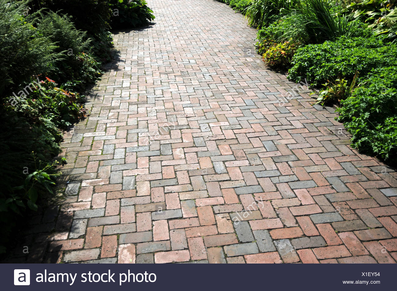 Bricks Pavement High Resolution Stock Photography and Images - Alamy