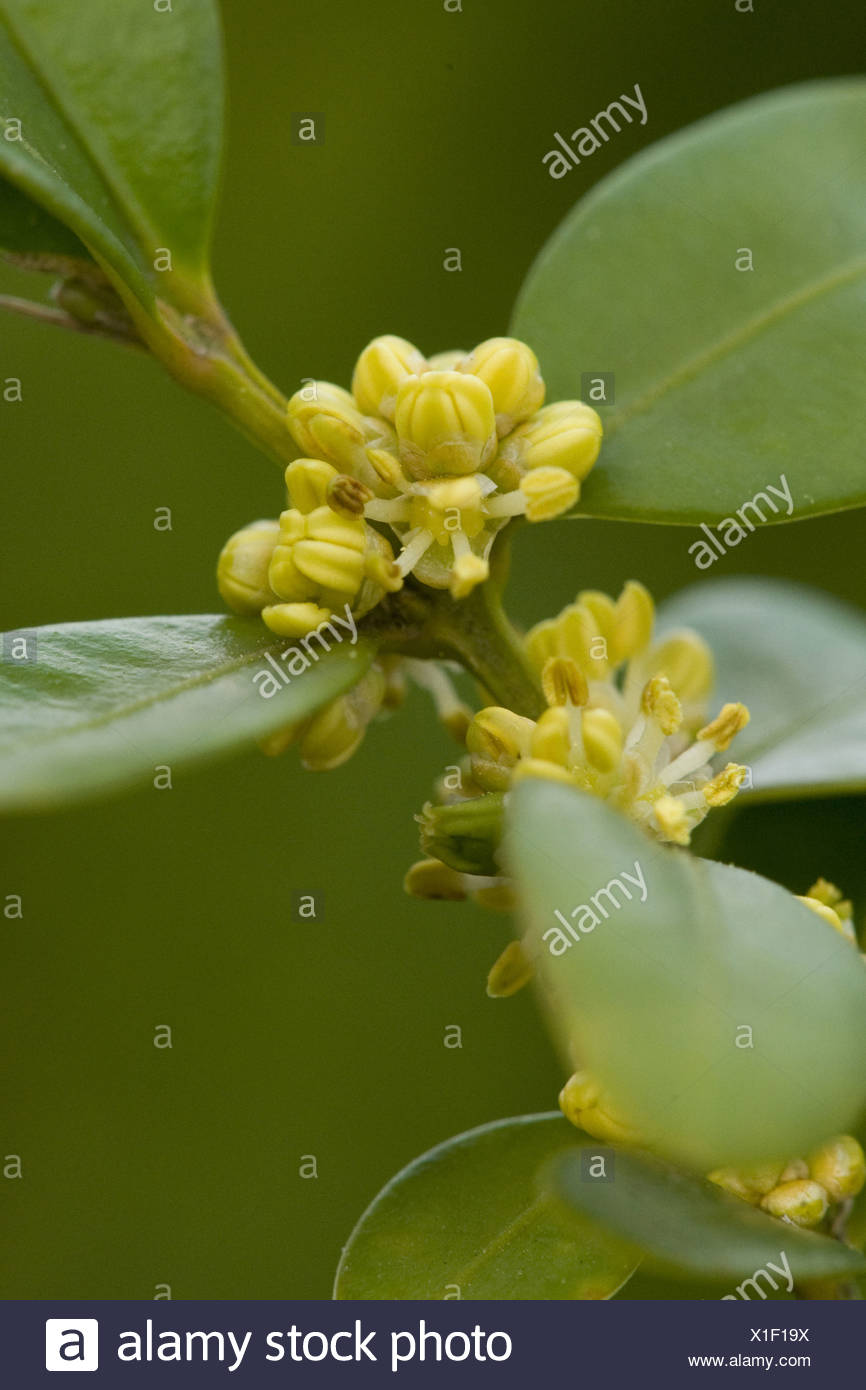 Common Boxes High Resolution Stock Photography and Images - Alamy