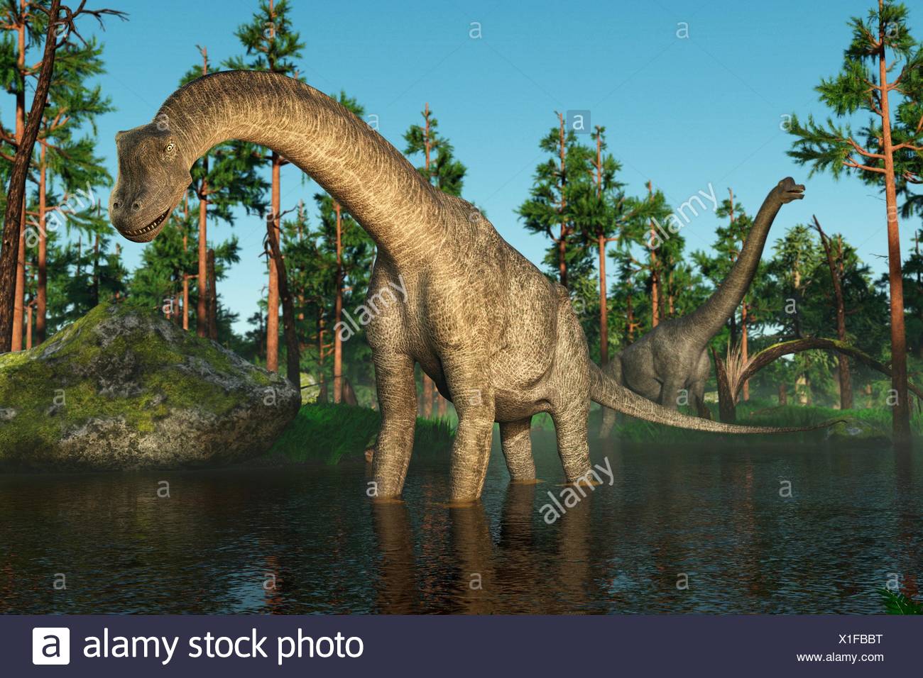 Artwork Brachiosaurus High Resolution Stock Photography and Images - Alamy