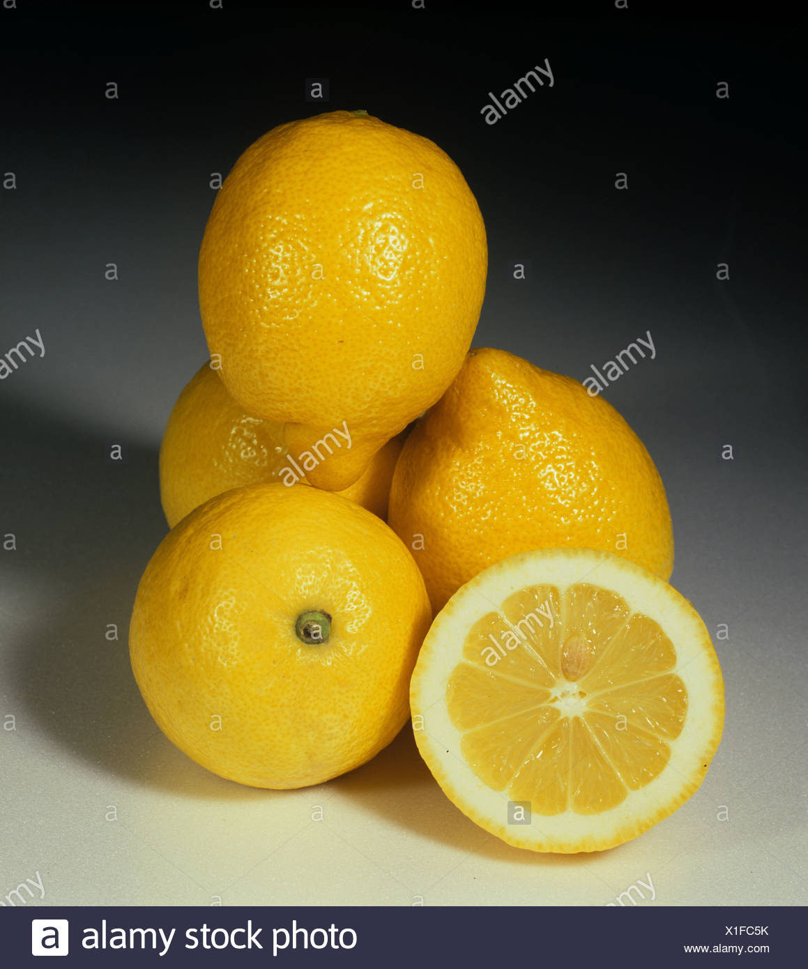 Citrus Limon High Resolution Stock Photography and Images - Alamy