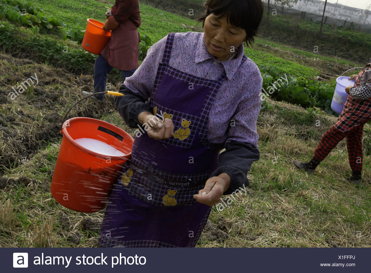 Urea Farm High Resolution Stock Photography and Images - Alamy