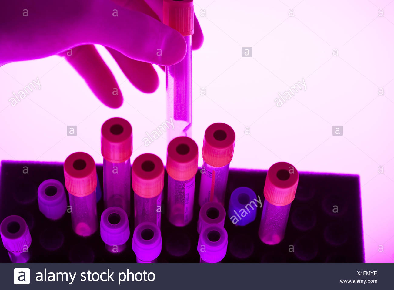 Tests Tubes High Resolution Stock Photography and Images - Alamy