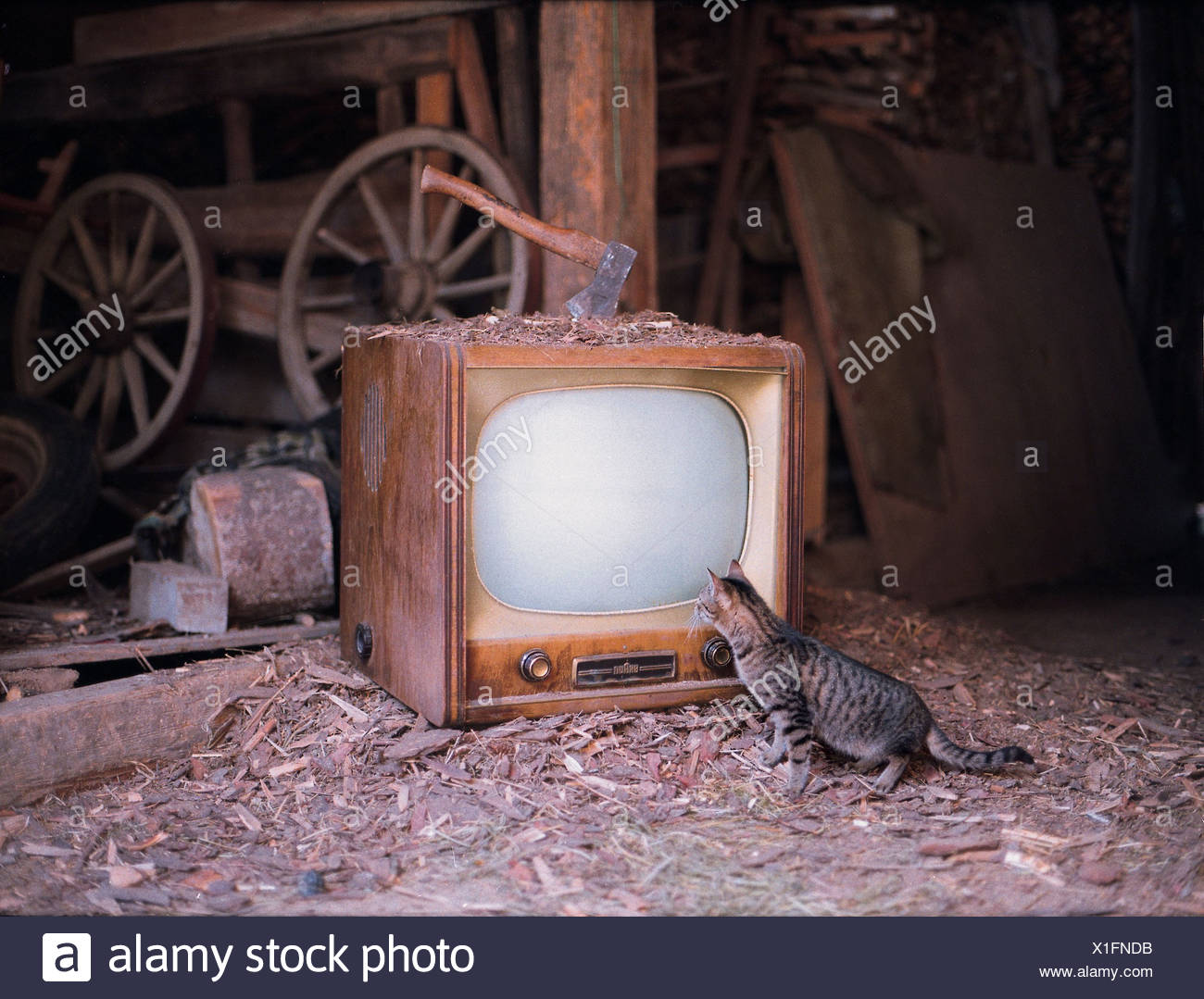 Tv 60 Stock Photos & Tv 60 Stock Images - Alamy