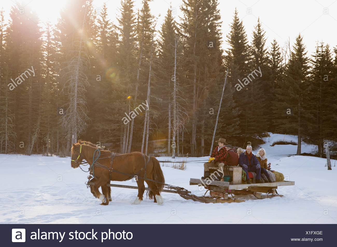 Horse Sleigh Snow Stock Photos & Horse Sleigh Snow Stock Images - Alamy