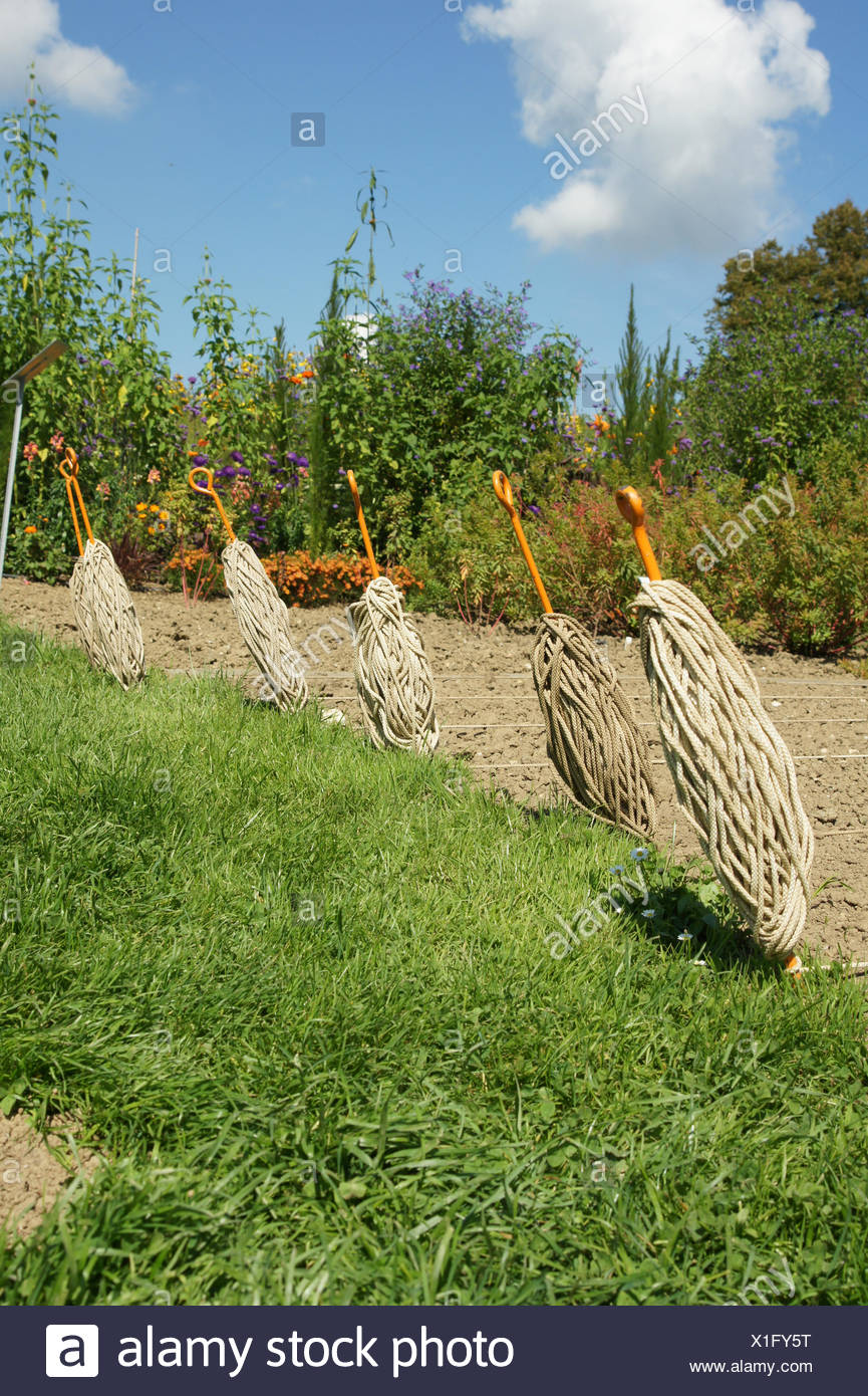 Pflanzleine High Resolution Stock Photography and Images - Alamy