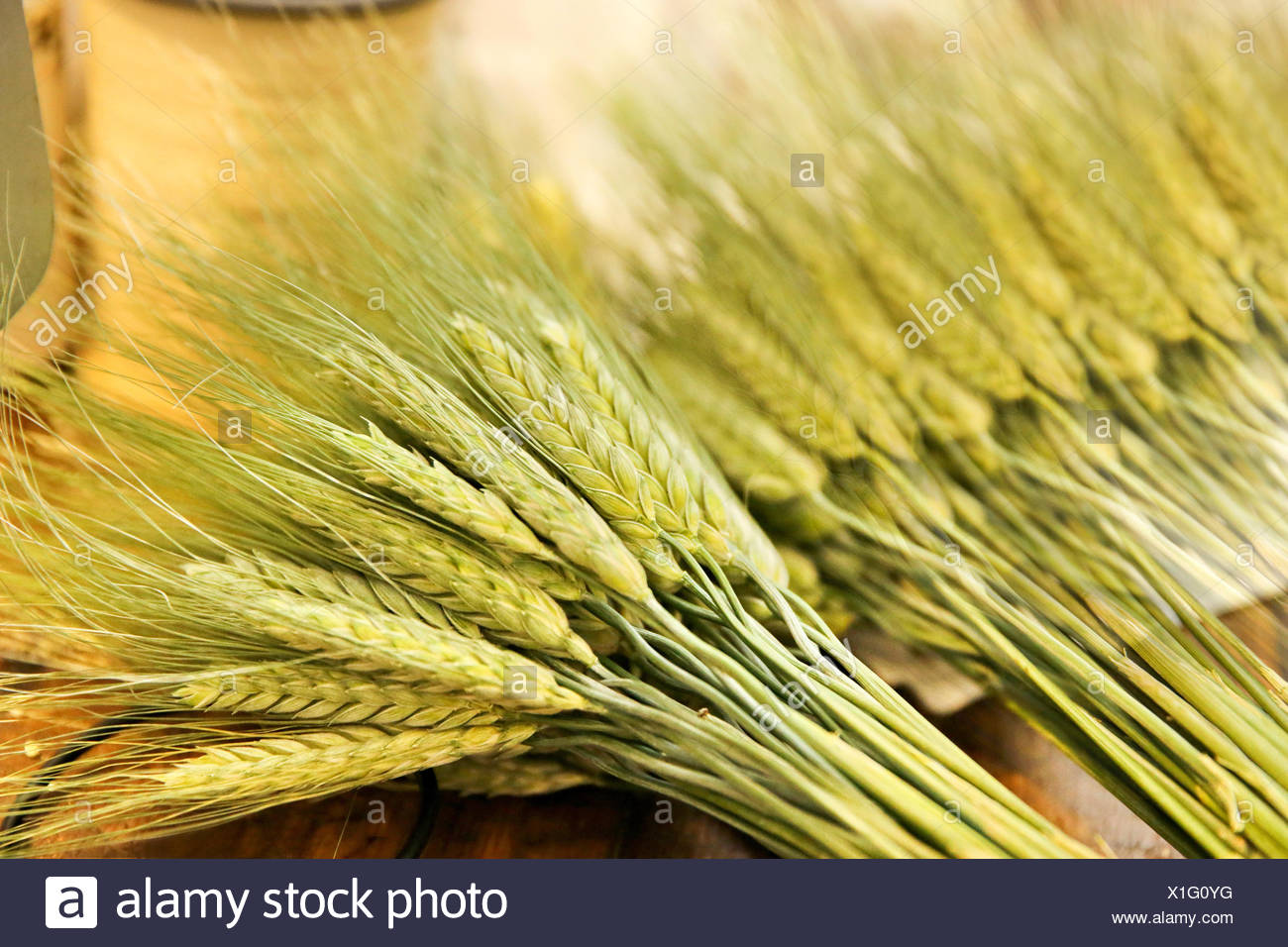 Sheaves Of Wheat Stock Photos & Sheaves Of Wheat Stock Images - Alamy