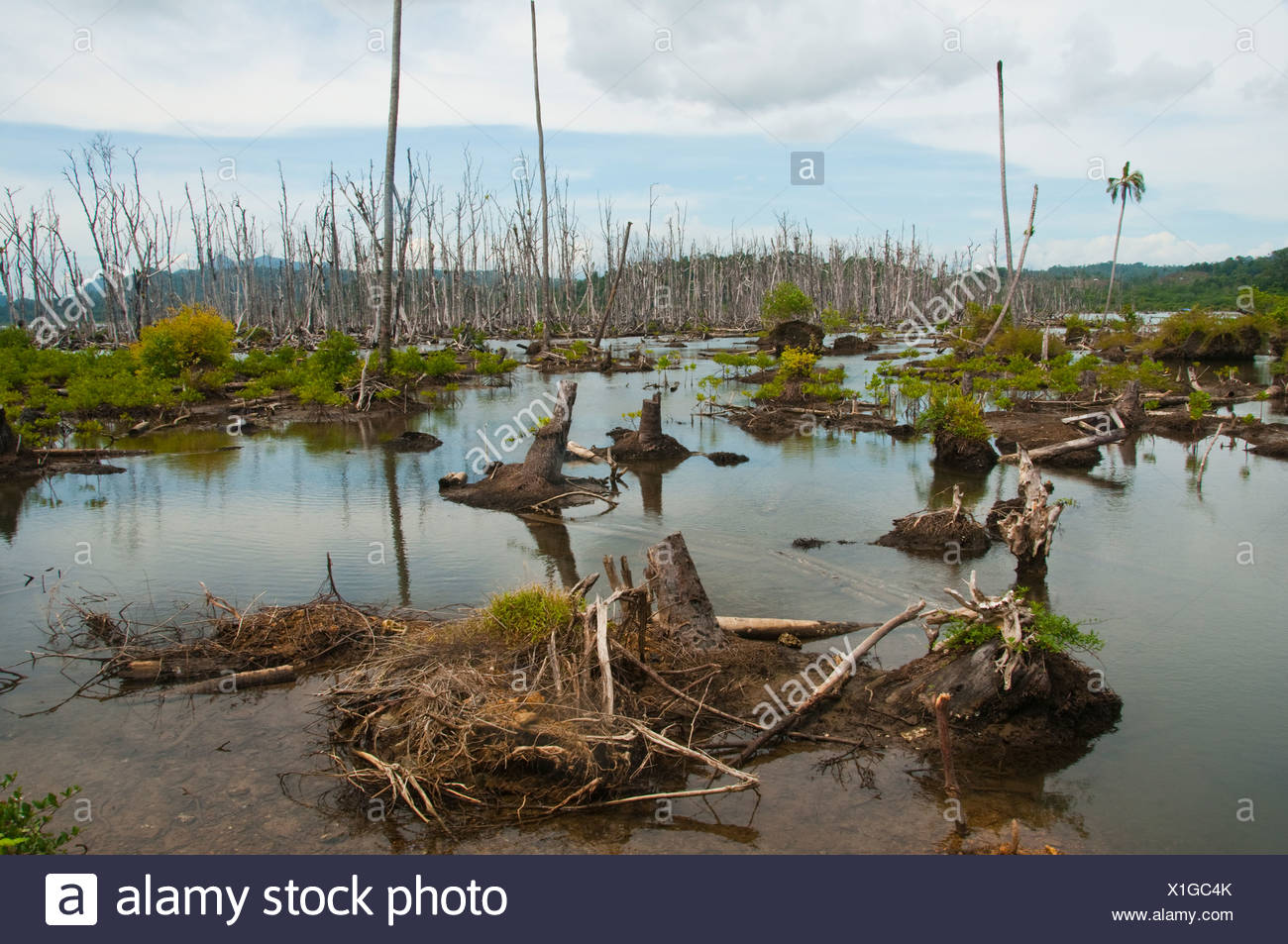 Indian Ocean Tsunami 2004 Stock Photos & Indian Ocean Tsunami 2004 ...