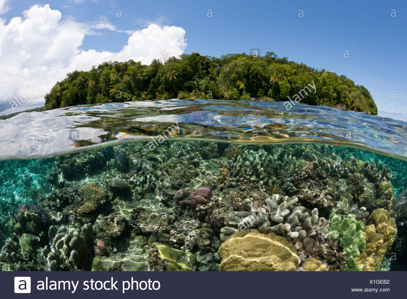 Marovo Lagoon Stock Photos & Marovo Lagoon Stock Images - Alamy