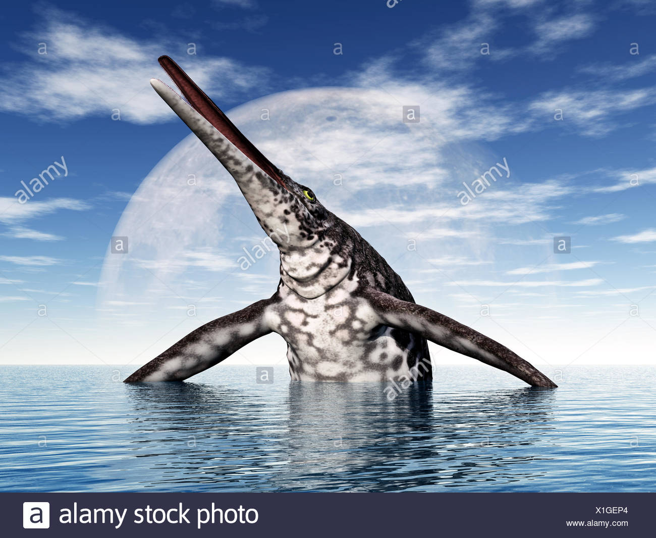 Shonisaurus Stock Photos & Shonisaurus Stock Images - Alamy