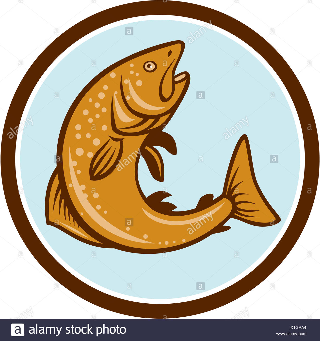 Rainbow Trout Jump High Resolution Stock Photography and Images - Alamy