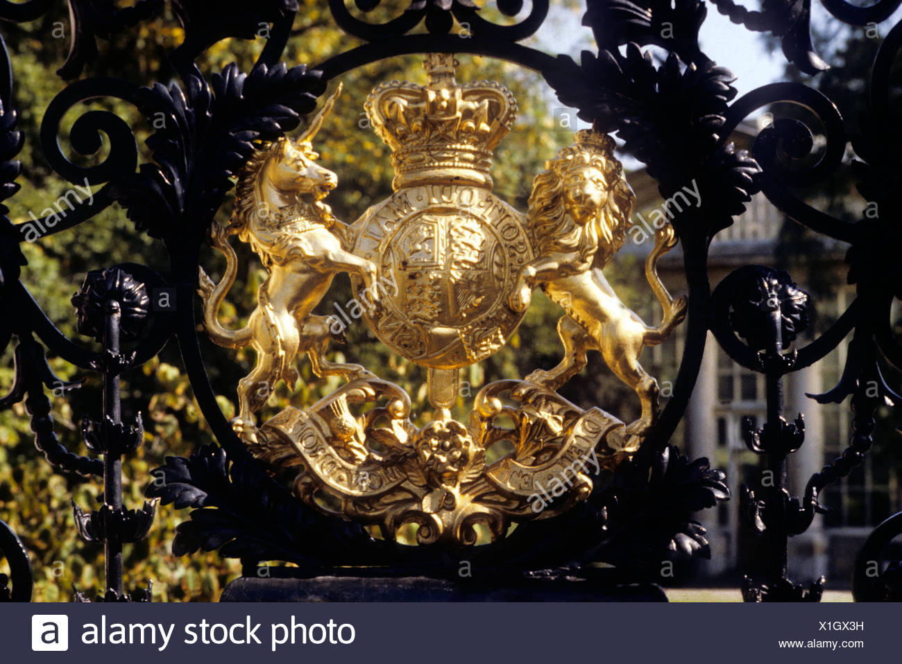Royal Cypher High Resolution Stock Photography and Images - Alamy