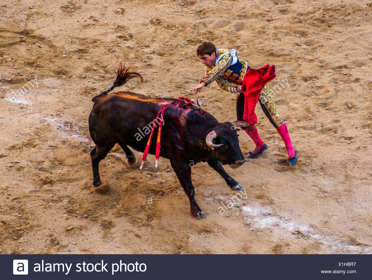 Matador And Full Body Stock Photos & Matador And Full Body Stock Images ...