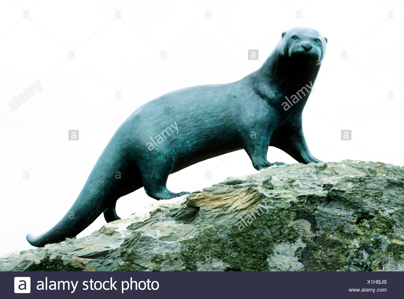 Gavin Maxwell Otter Memorial High Resolution Stock Photography and ...