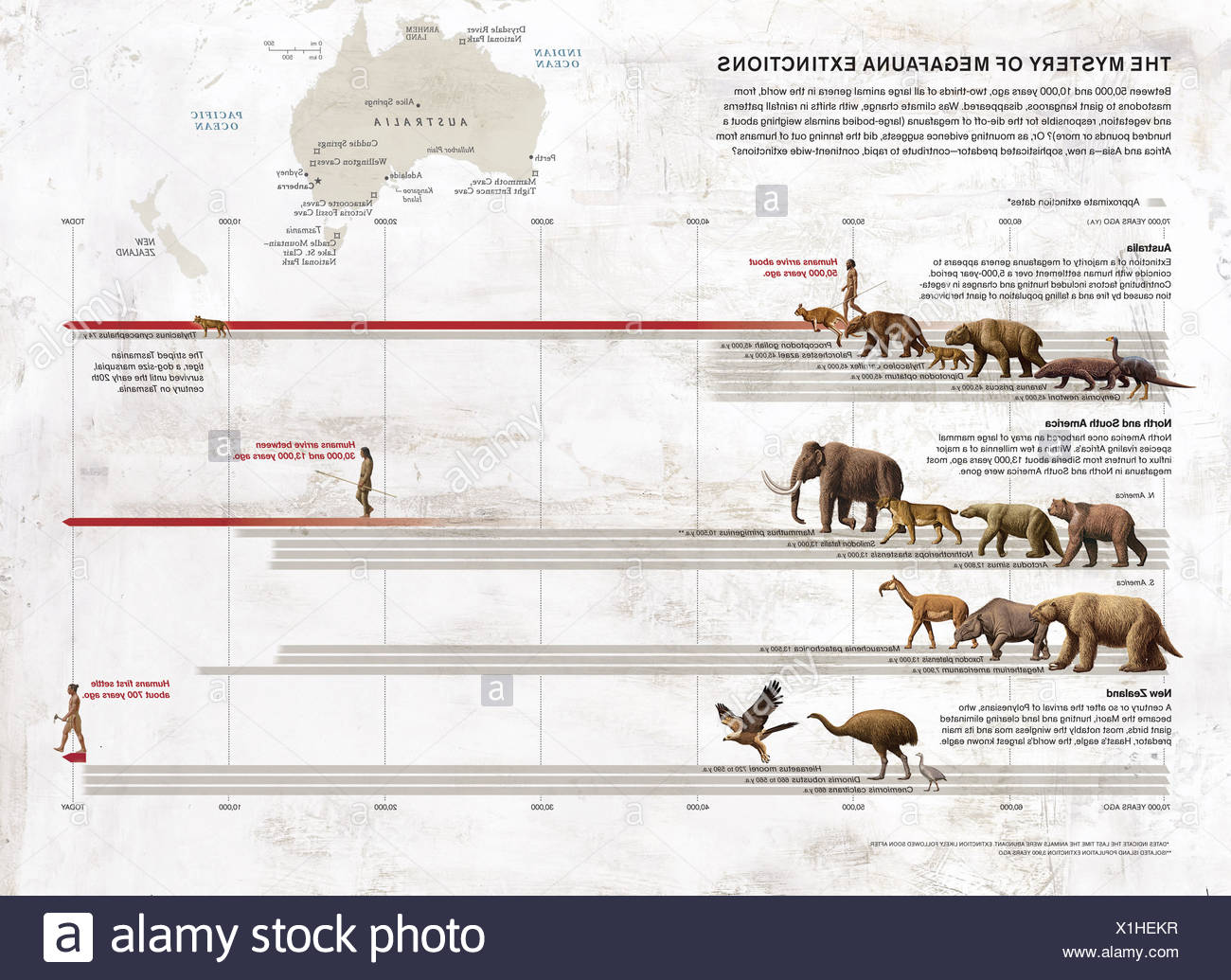 Megafauna Australia Stock Photos & Megafauna Australia Stock Images - Alamy