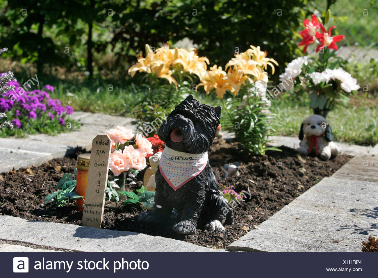 Tiergrab High Resolution Stock Photography and Images - Alamy