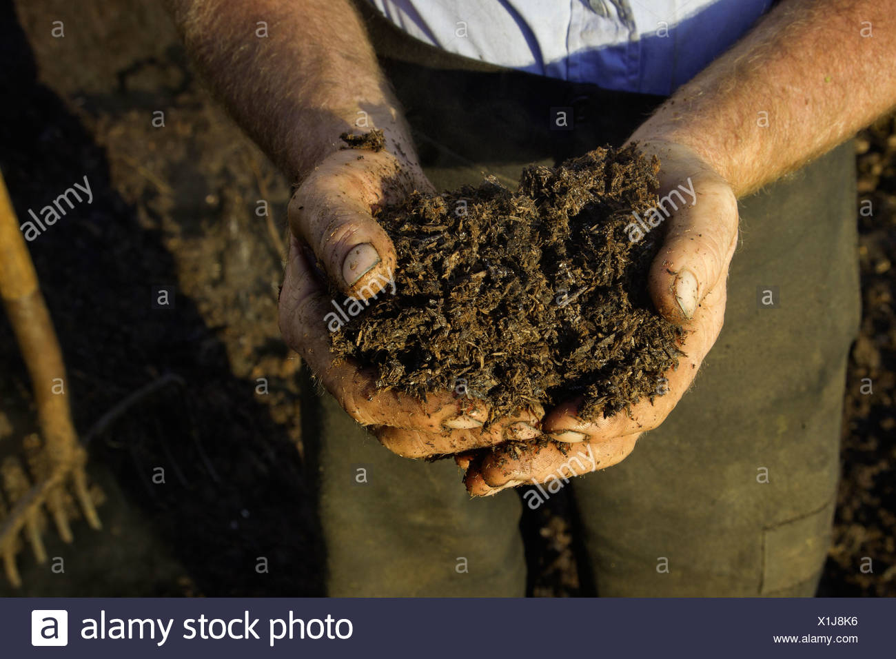 Cow Manure High Resolution Stock Photography and Images - Alamy