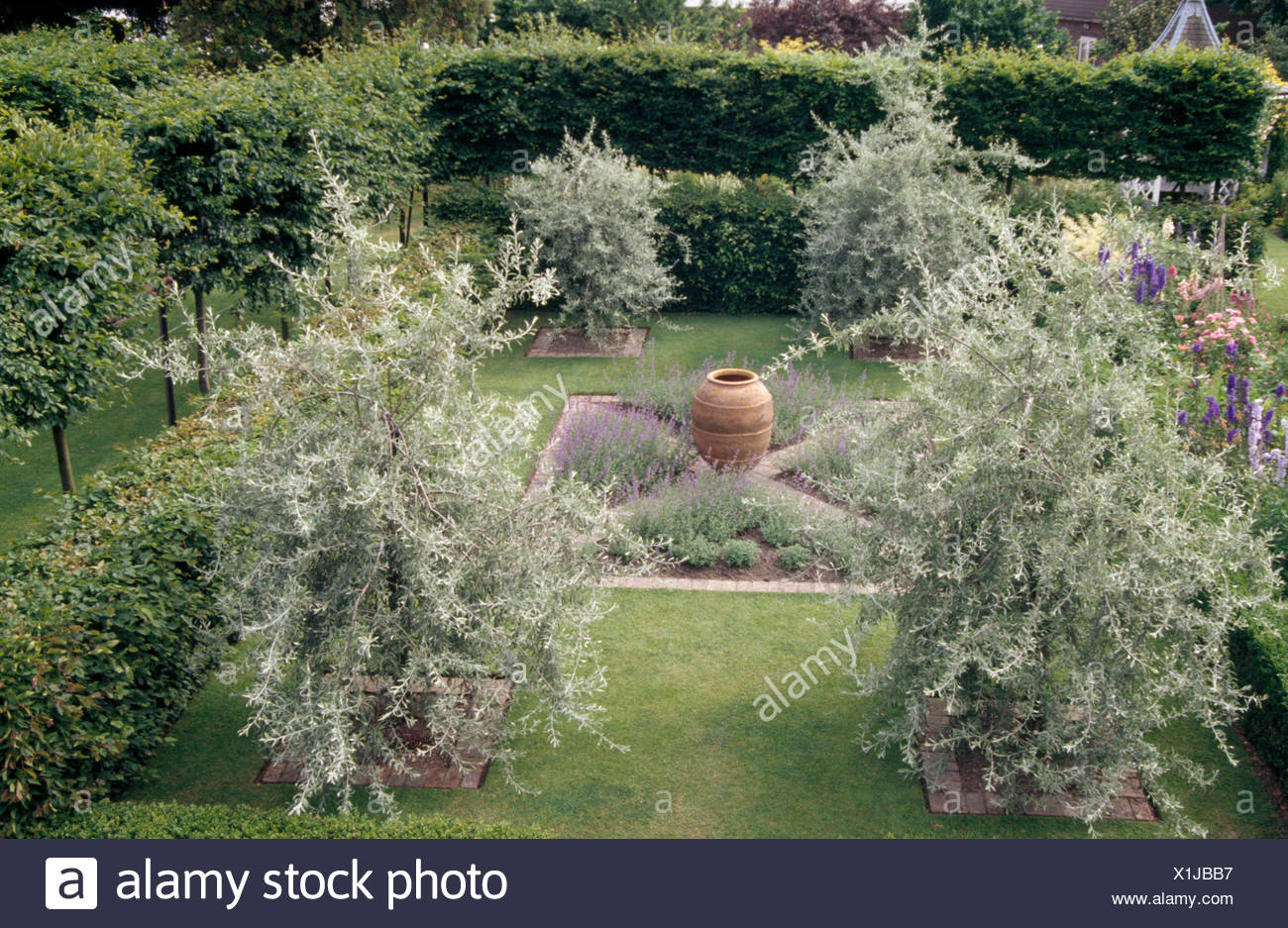 Pyrus Pendula High Resolution Stock Photography and Images - Alamy