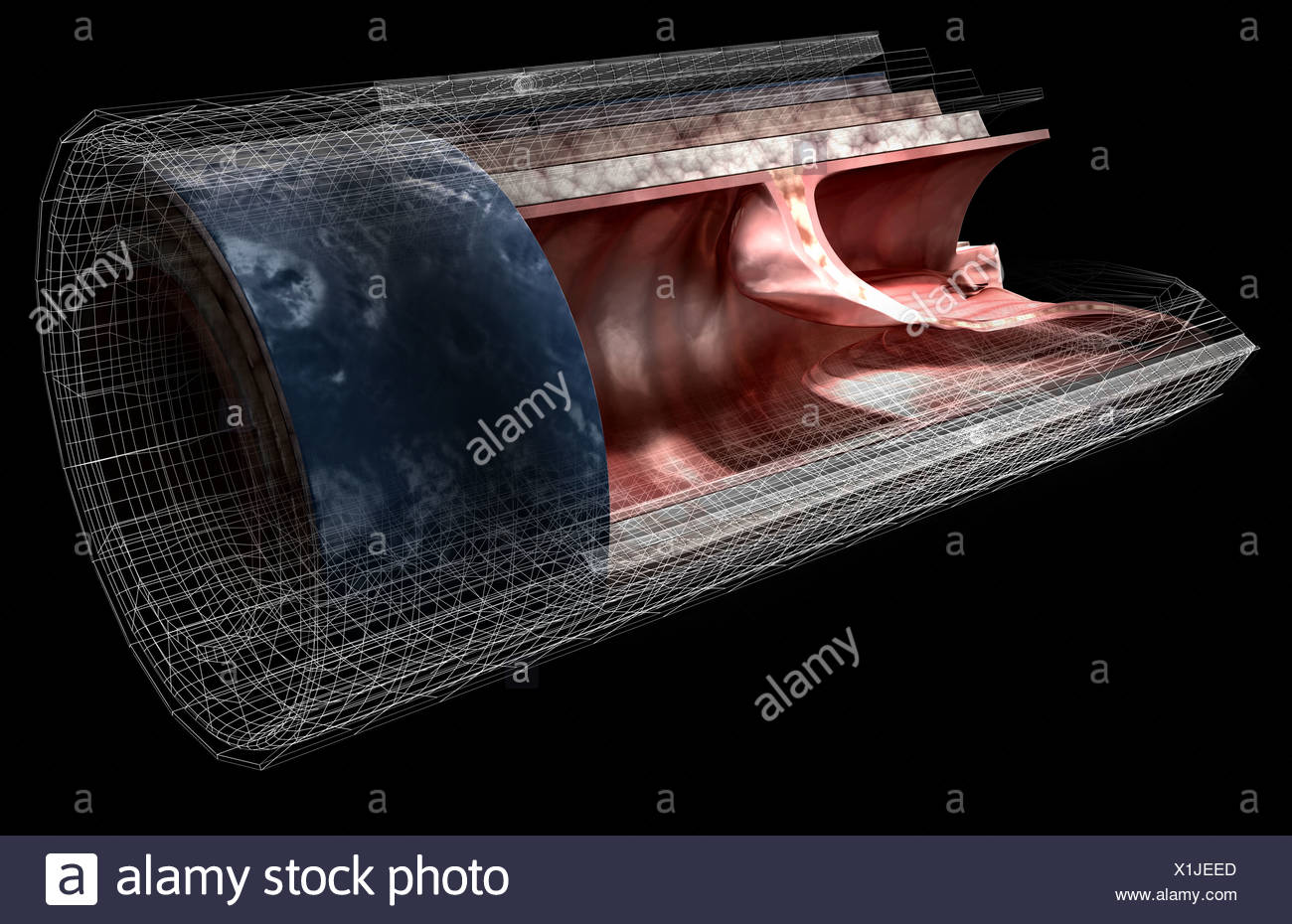 Blood Vessel Lumen High Resolution Stock Photography and Images - Alamy