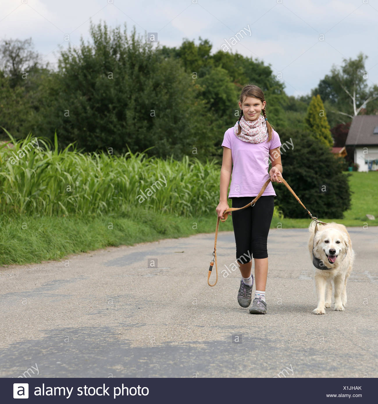 Gassi High Resolution Stock Photography and Images - Alamy
