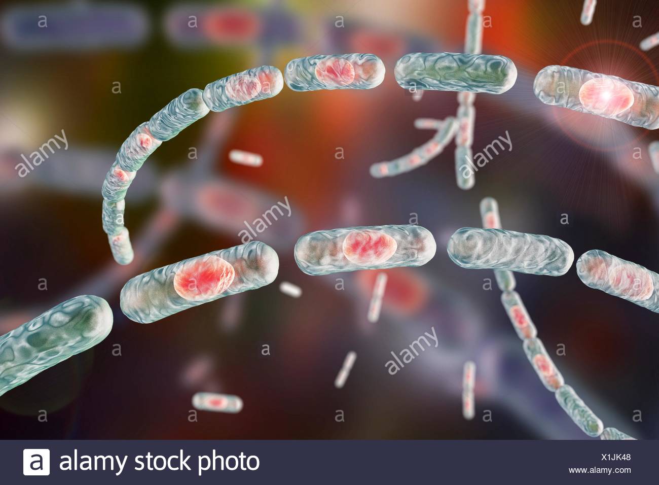 Disease Causing Micro Organisms High Resolution Stock Photography and ...
