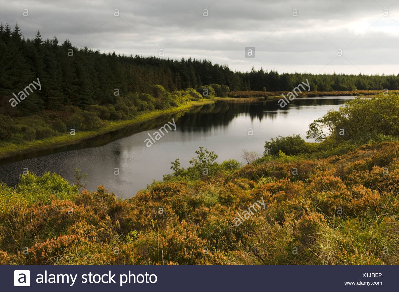 Fermanagh Stock Photos & Fermanagh Stock Images - Alamy
