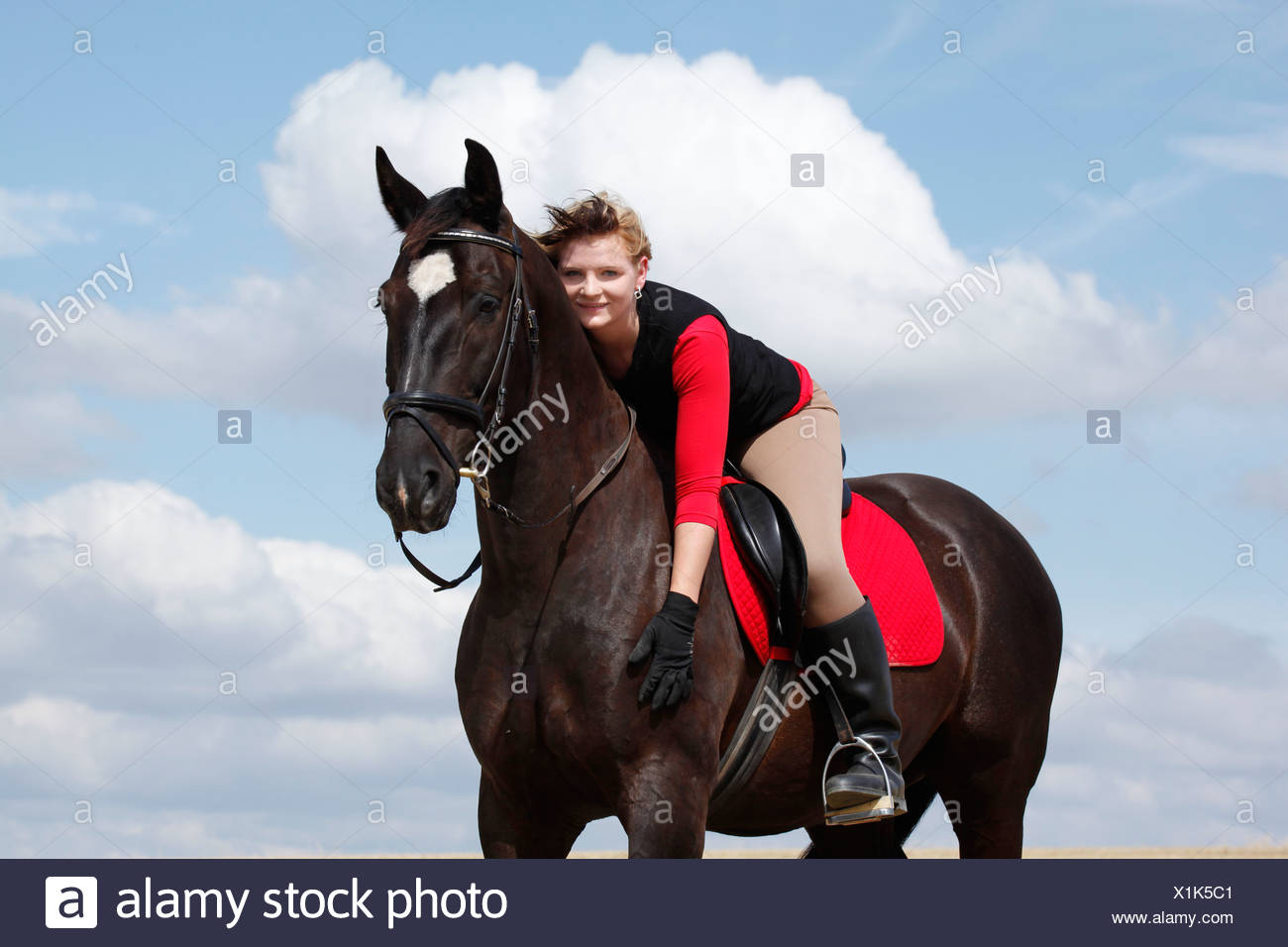 Horsewoman Head High Resolution Stock Photography and Images - Alamy