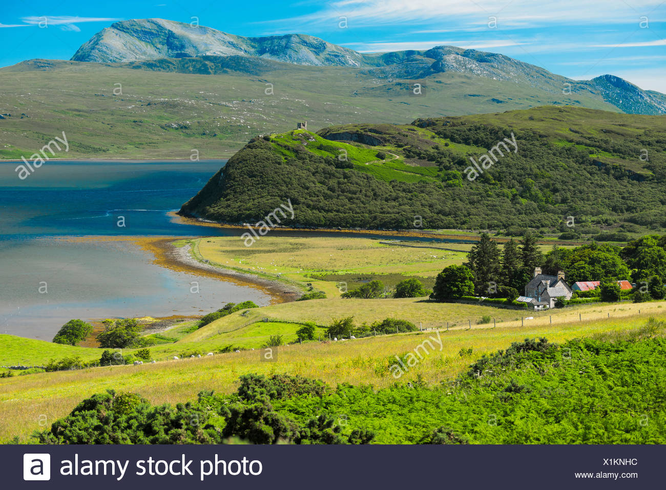 Tongue Scotland Stock Photos & Tongue Scotland Stock Images - Alamy