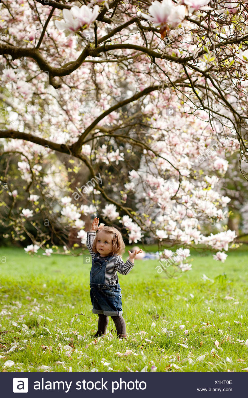 Growing Under Tree Stock Photos & Growing Under Tree Stock Images - Alamy