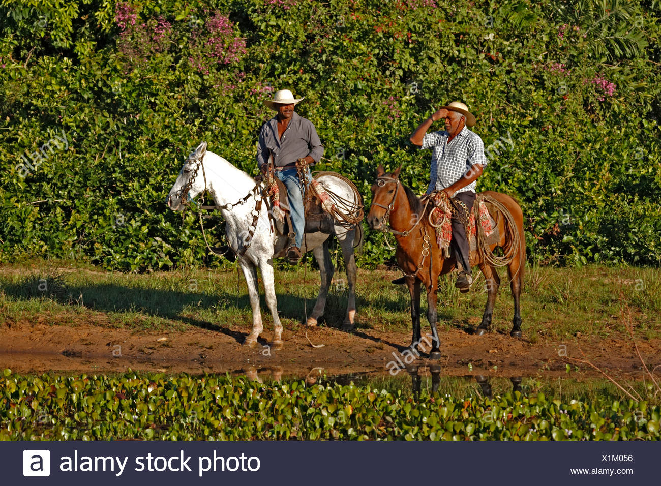 Two Riding Cowboys High Resolution Stock Photography and Images - Alamy