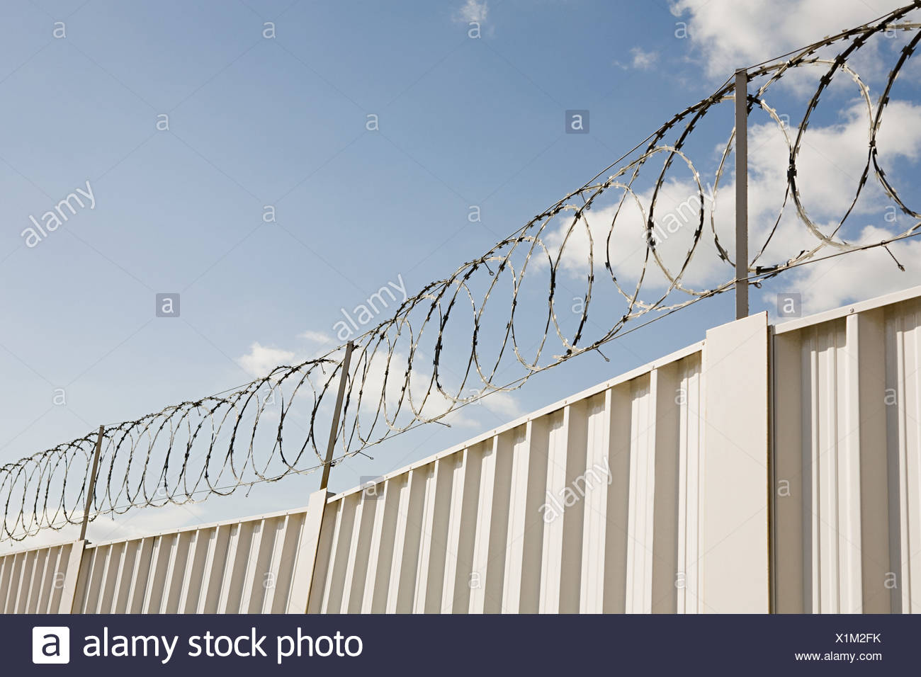 Barbed Fence High Resolution Stock Photography and Images - Alamy