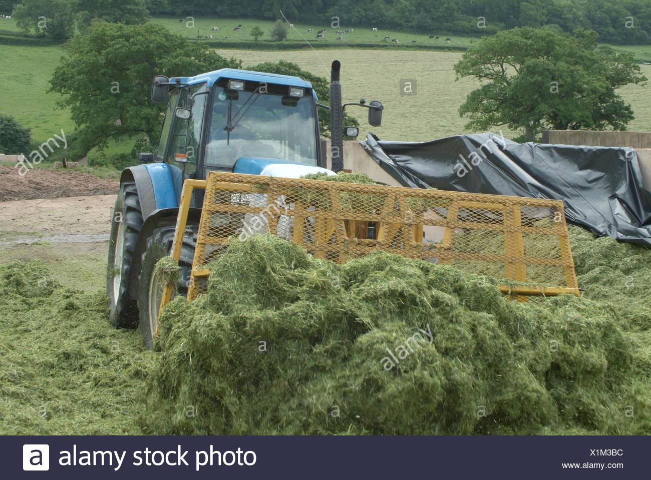 Silage Pit High Resolution Stock Photography and Images - Alamy