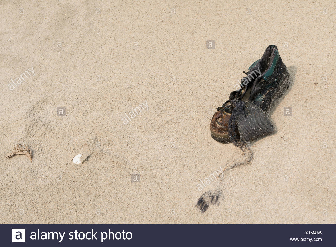 Lost Shoe Stock Photos & Lost Shoe Stock Images - Alamy