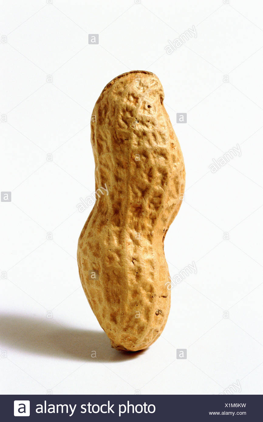 Upright Shape High Resolution Stock Photography and Images - Alamy