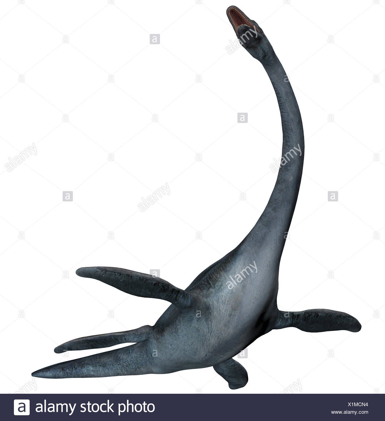 Elasmosaurus High Resolution Stock Photography and Images - Alamy